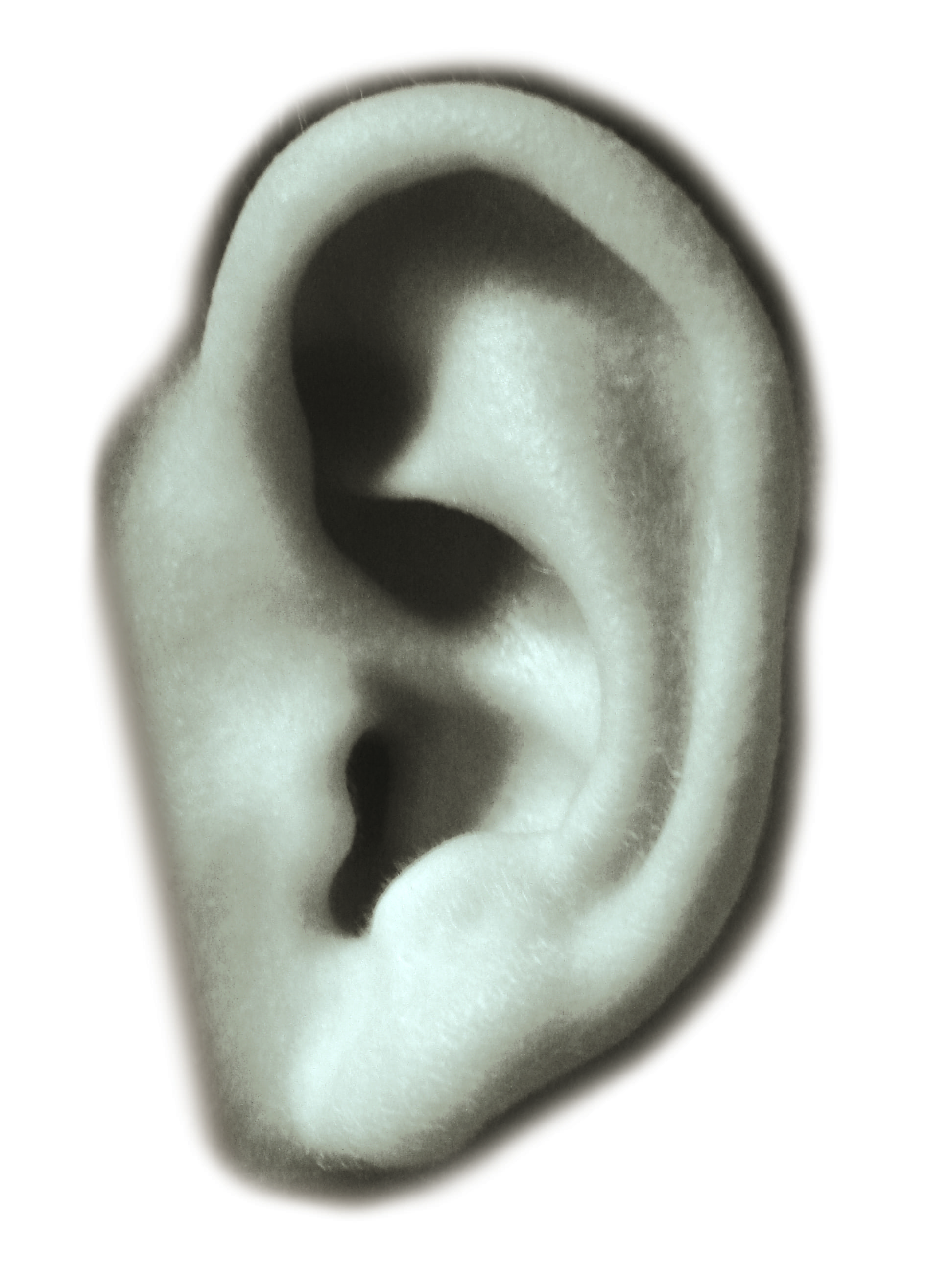 Human Hearing of Ultrasonic Sound (December 27) | Creation 101