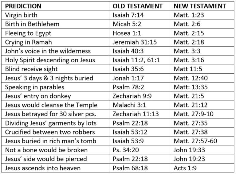 Prophecies Fulfilled by Jesus Christ (December 25) | Creation 101