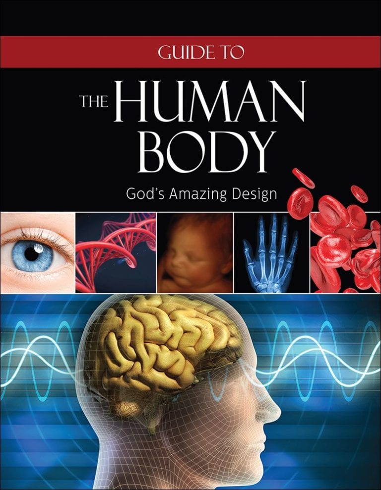 Guide to the Human Body | Creation 101